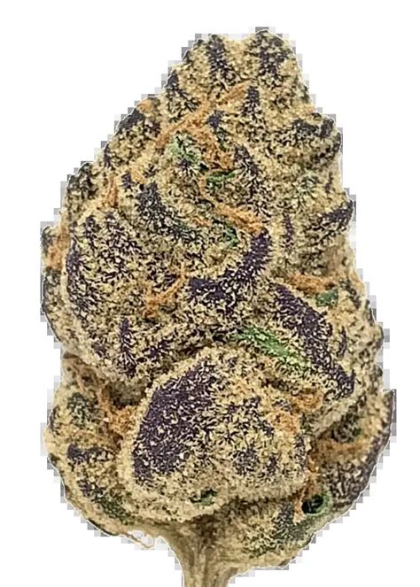 Galaxy Toad THCa Flower – Premium Indoor 7g Jar - simplymarythca.com
